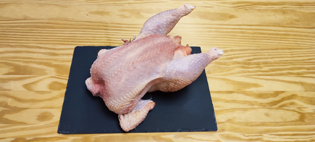 Comprar Gallina pesada online 🐔